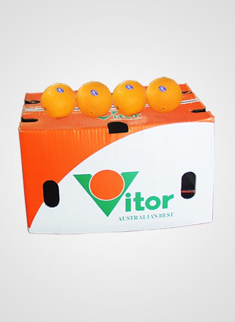 LAU SENG HUAT FRUITS SDN. BHD. 劉成發生果有限公司